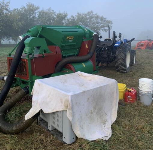 Pennsylvania Chestnut Farm Spreads Christmas Cheer Far and Near ...