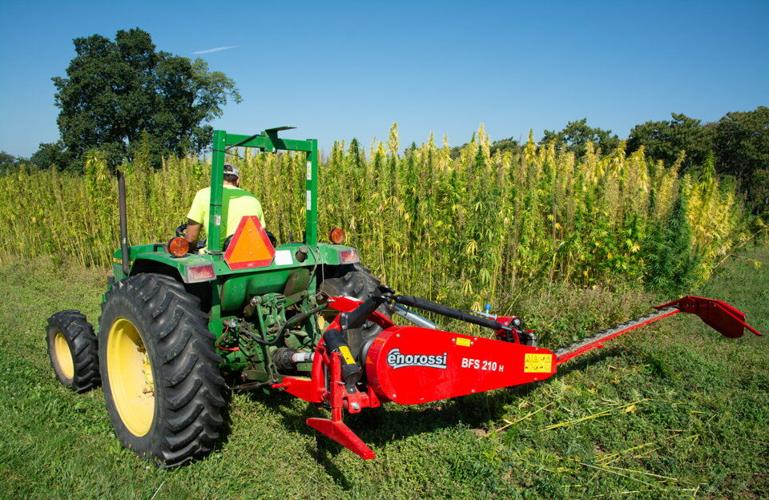 Rutgers University Leads the Way on Industrial Hemp in New Jersey ...