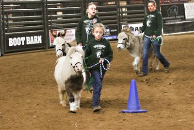 Staying in The Saddle is Just The Beginning for Equine Therapy ...
