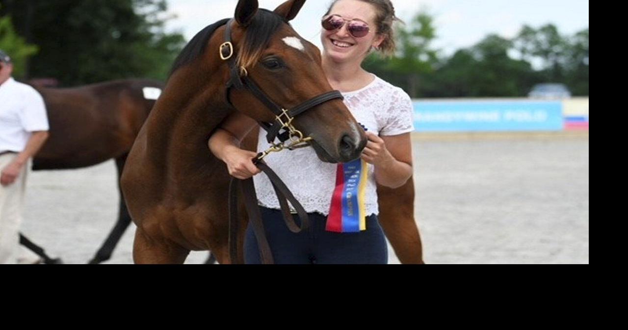 Thoroughbred Yearlings Strut Their Stuff at Pennsylvania Yearling Show ...