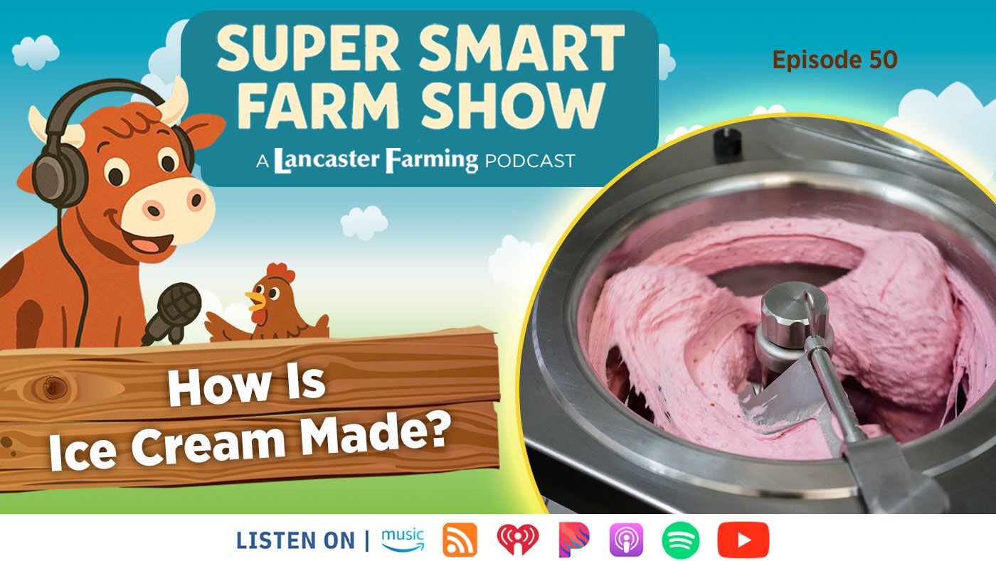 How Is Ice Cream Made? | Super Smart Farm Show | lancasterfarming.com