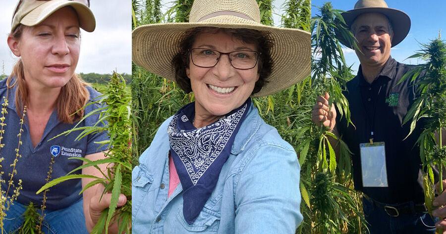 Lancaster County Hemp Circuit: Four Hemp Farms in One Event | Hemp ...