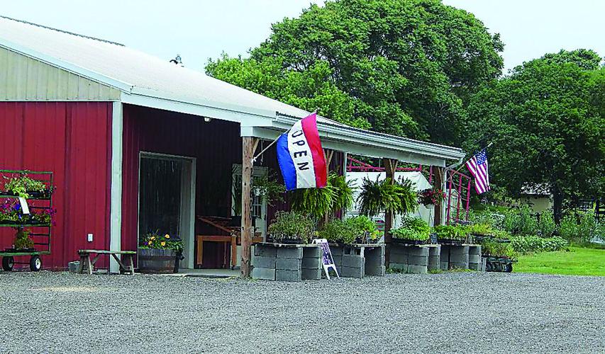 Dairy Complements Multifaceted Maryland Farm | | lancasterfarming.com