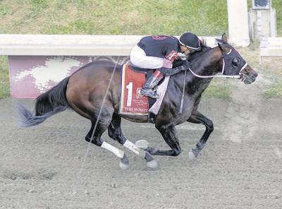 ‘Like a Fine Wine,’ Smooth B Wins Again and Sets Record | Horse News ...
