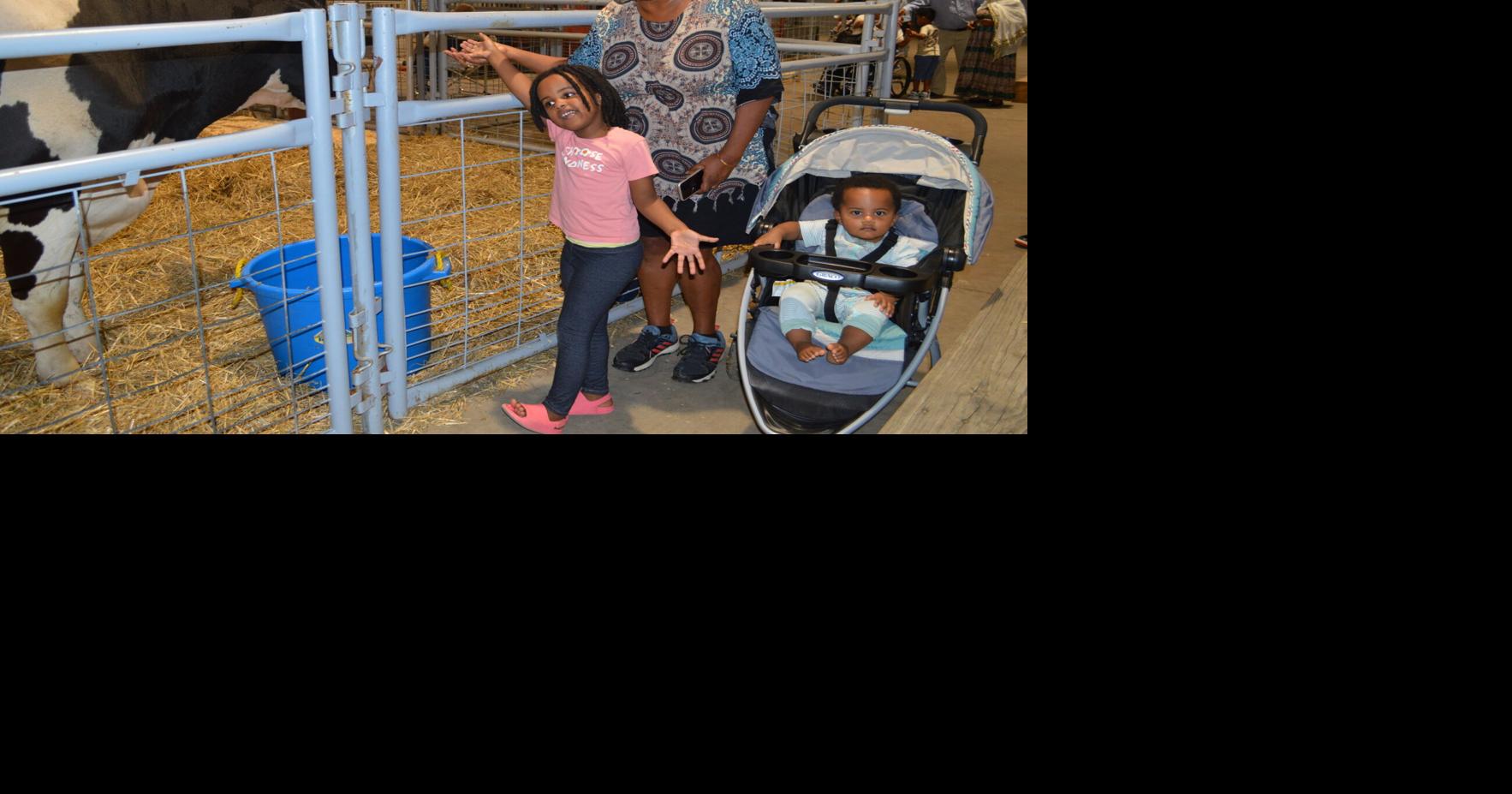Maryland State Fair Puts Agriculture at Its Center | Farm Shows, County ...