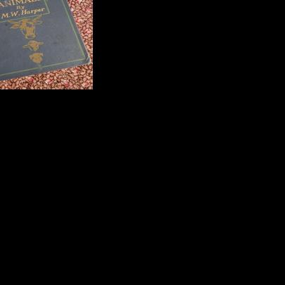 'Manual of Farm Animals' From 1911 Provides Insight on Farming's Past ...