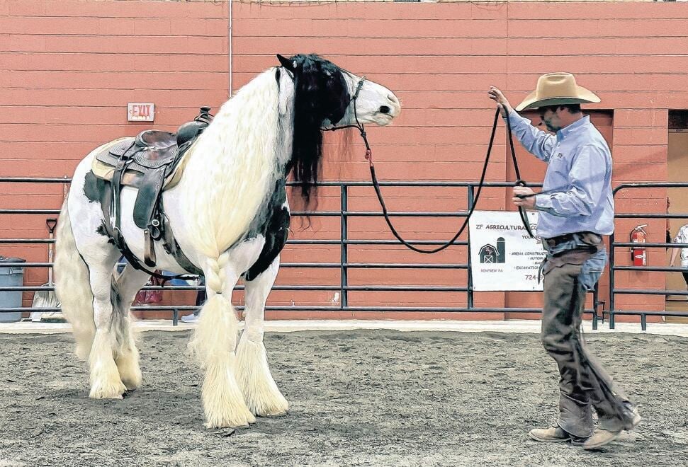 2025 Horse World Expo Set to Entertain and Educate | Horse News and ...