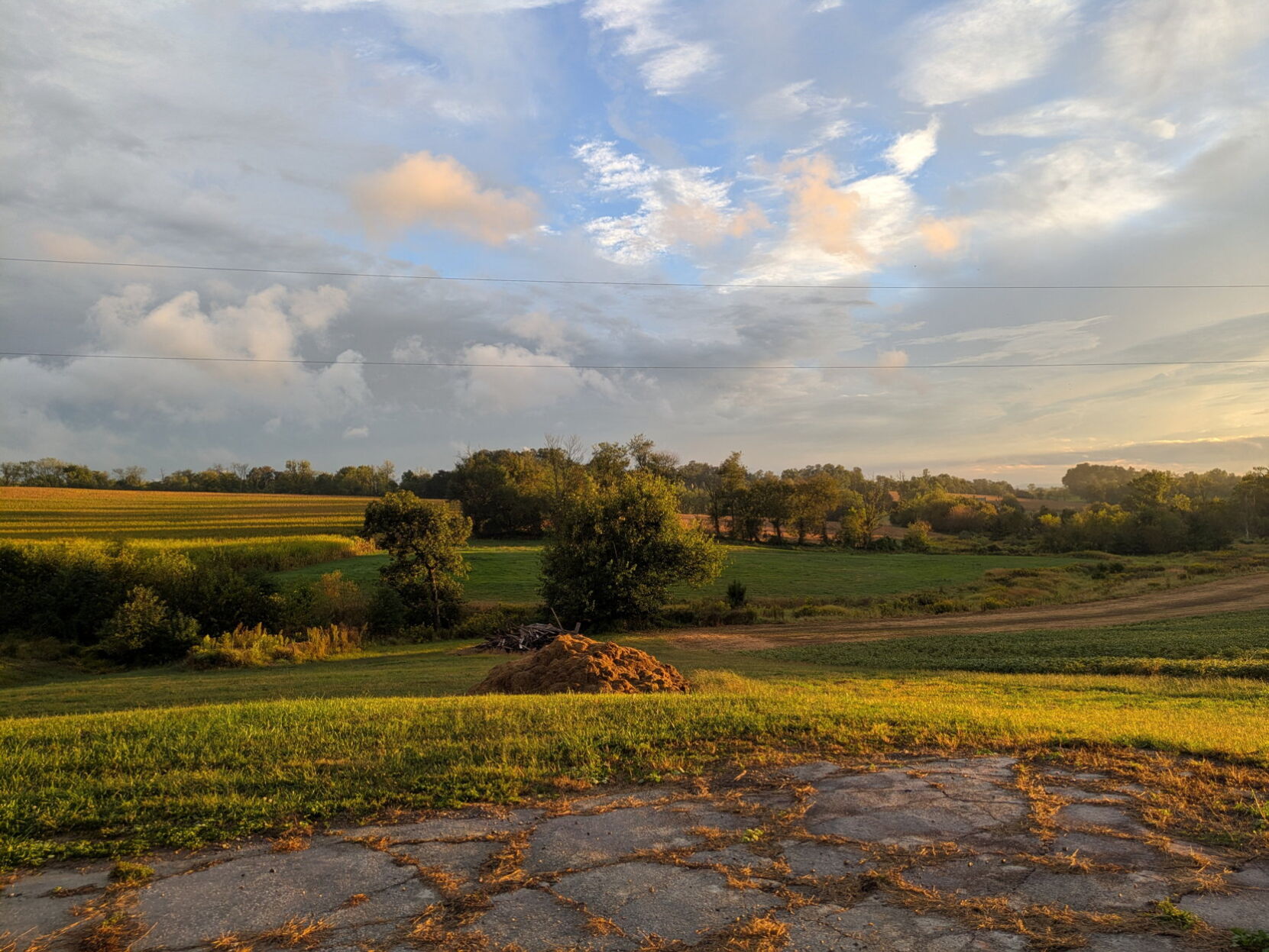 Welcome New Columnist, Elisabeth Keener | Farm and Rural Family Life ...