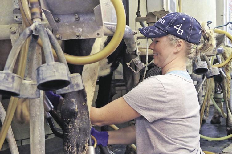 Hard Work, Free Stalls Help Virginia Dairy Meet Production Goal | Dairy ...