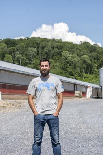 Gestation Crate Replacements Spur Swine Farm Change | Livestock News ...