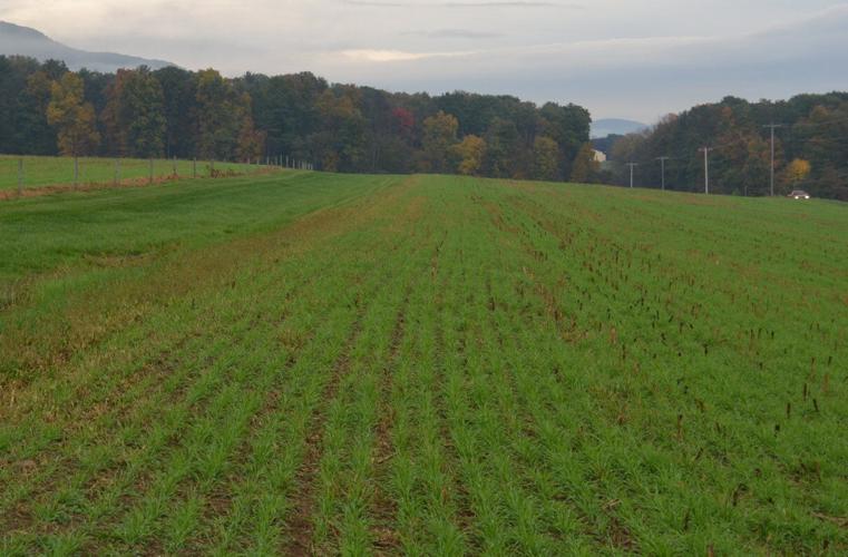 What to Consider for Fall Manure Applications | Conservation and ...