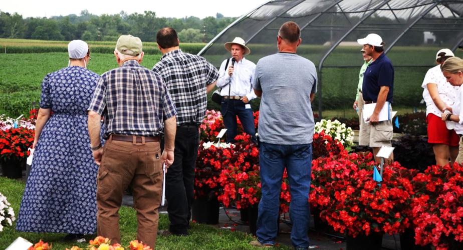 Annual Flower Trials Blossom Once Again at Penn State Extension ...