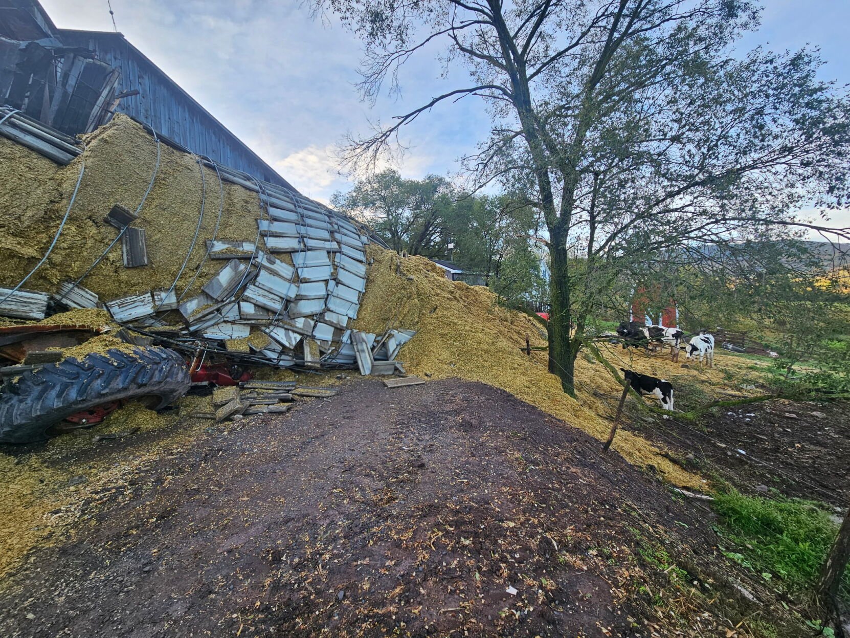 Silo Collapse at Pennsylvania Dairy Farm Shows Importance of ...