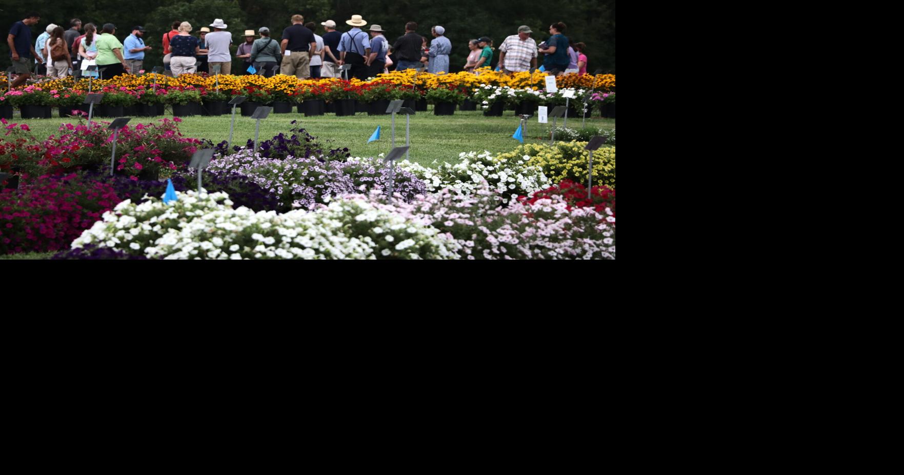 Annual Flower Trials Blossom Once Again at Penn State Extension ...