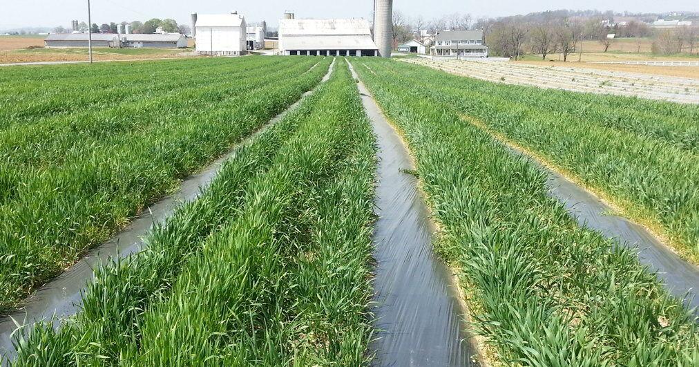 Start the New Year Right With Learning: Attend an Extension Meeting ...