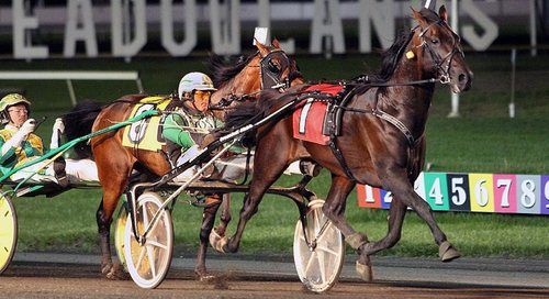 Scene set for perfect rivalry between world's fastest 2 trotters ...