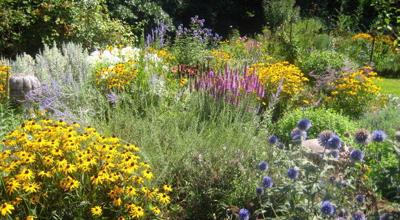 Slash Your Property Taxes with PA Clean & Green | Conservation and ...