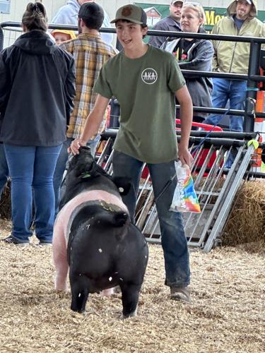 ‘The Lowly Pig’ Takes Center Stage at the 2024 Bloomsburg Fair | Farm ...