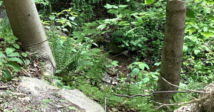 Conservation Project Aims to Improve Water Quality in Lancaster County ...