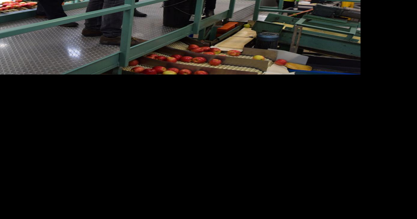 USDA Leader Touts Progress Growing Export Markets | Fruit and Vegetable ...