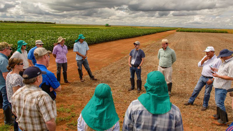 Tour Reveals Brazil’s Bean Bounty | Farming and Agricultural News ...