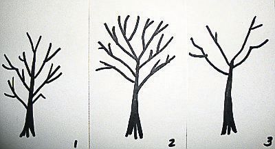 A Well-Pruned Tree is a ‘Fruit-Full’ Tree | Gardening Tips and How-To ...