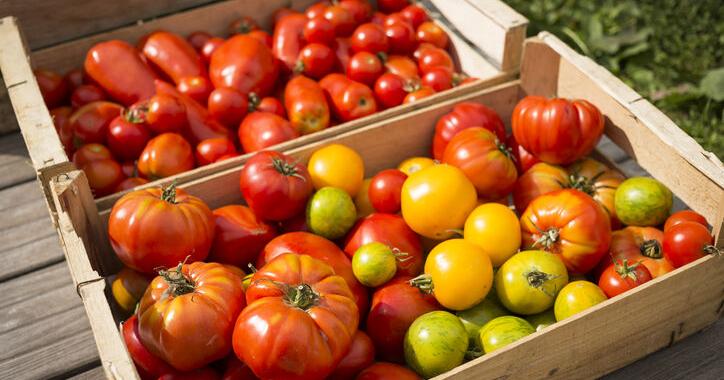 USDA Helps Specialty Crop Producers Catch Up With Rising Costs ...