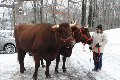 Timberrrr! | Farming and Agricultural News | lancasterfarming.com