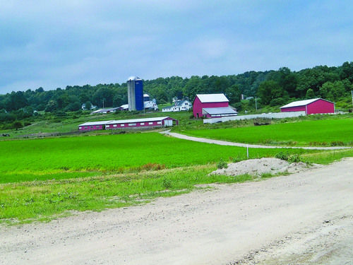 Rynd Home Farm: the Eighth Generation Continues the Tradition | Dairy ...
