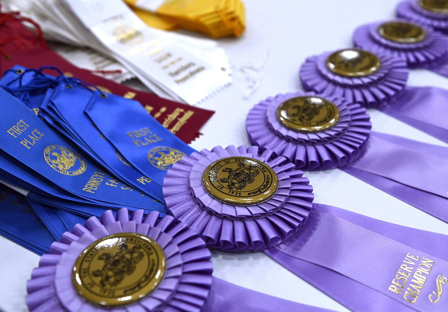 What Can Visitors to the 2025 PA Farm Show Expect? | Farm Shows, County ...