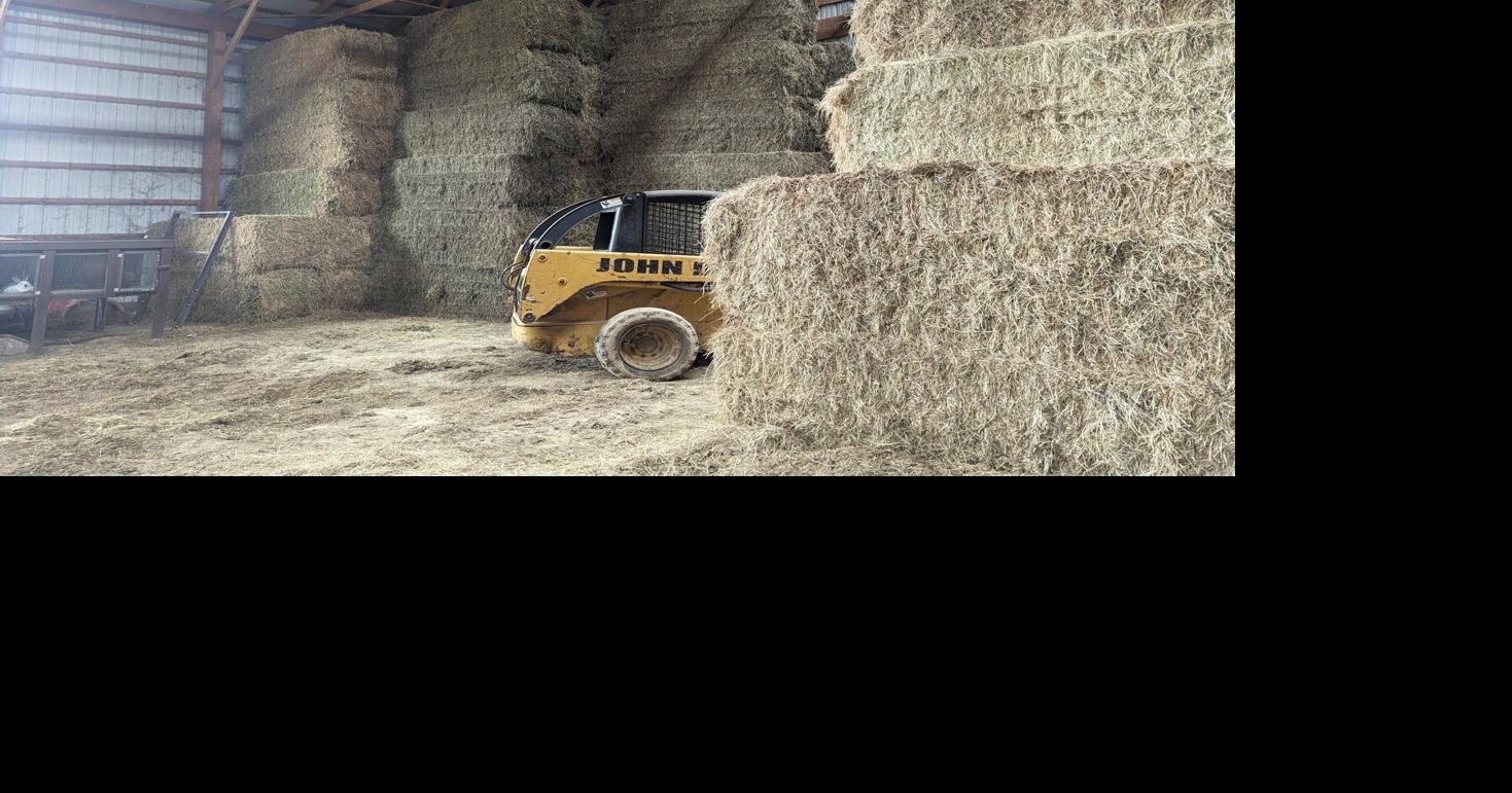 Keys to Making Profitable Hay Marketing Decisions | Field Crop News ...