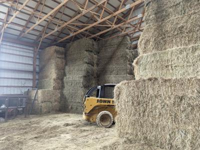 Keys to Making Profitable Hay Marketing Decisions | Field Crop News ...