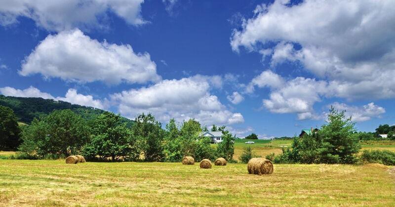 The Dusty Basics of Hay Tossing | Farm and Rural Family Life ...