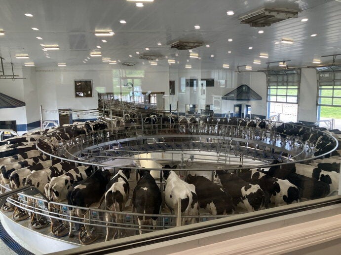 Blue-Collar and White-Collar Tasks on the Dairy and Why They Matter ...