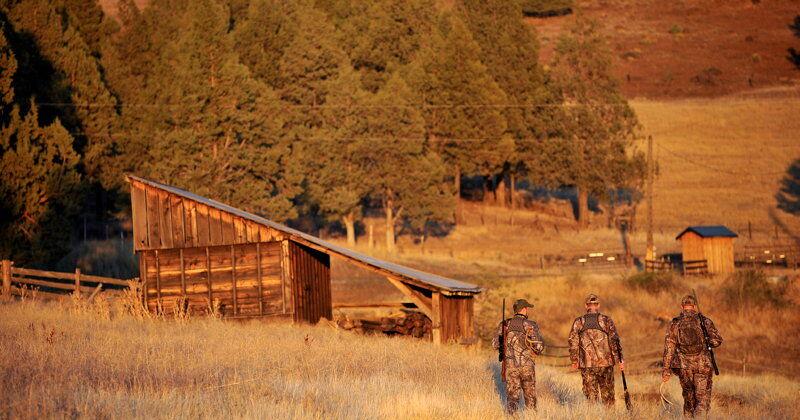 A Farm Family Goes Bear Hunting | Farm and Rural Family Life ...