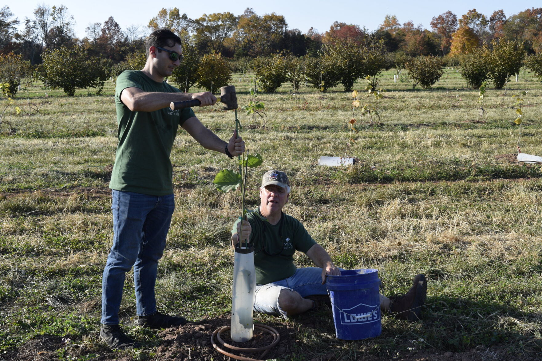 Hazelnut Farming Takes Root in New Jersey with Help from Military ...