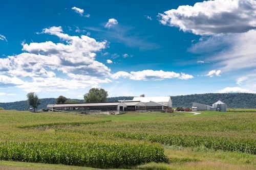 2 Maryland Dairy Farms Earn Honors | | lancasterfarming.com