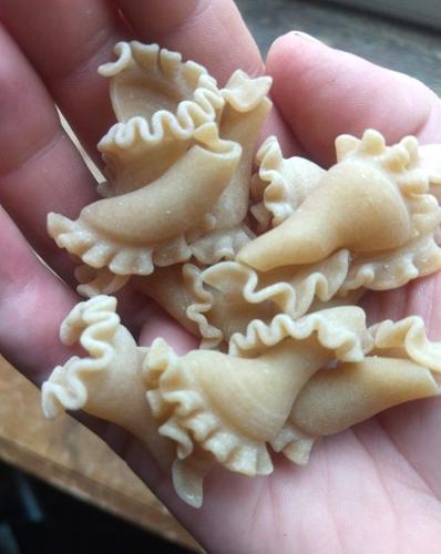 Local Pasta: Grain Growers Partner With Pasta Makers | Seasonal Food ...