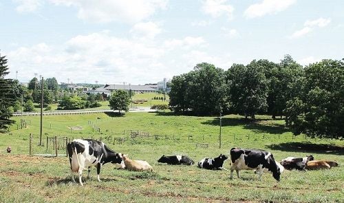 Virginia Tech Opens New Dairy Science Complex | Dairy News ...