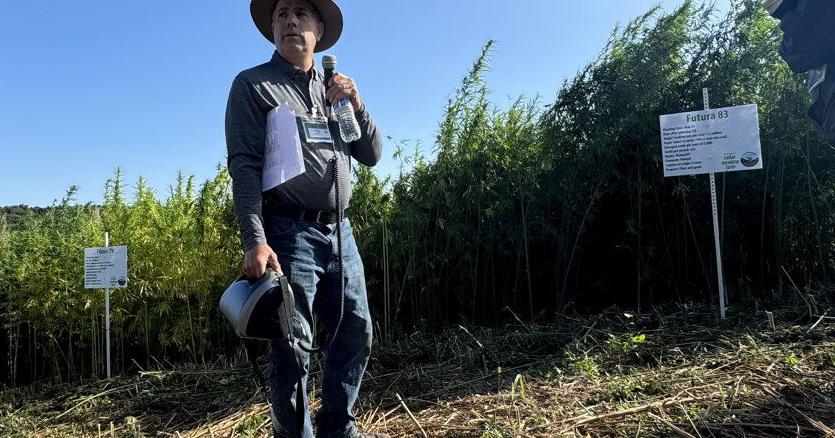 Lancaster County Hemp Circuit, Part Two | Hemp Industry News ...