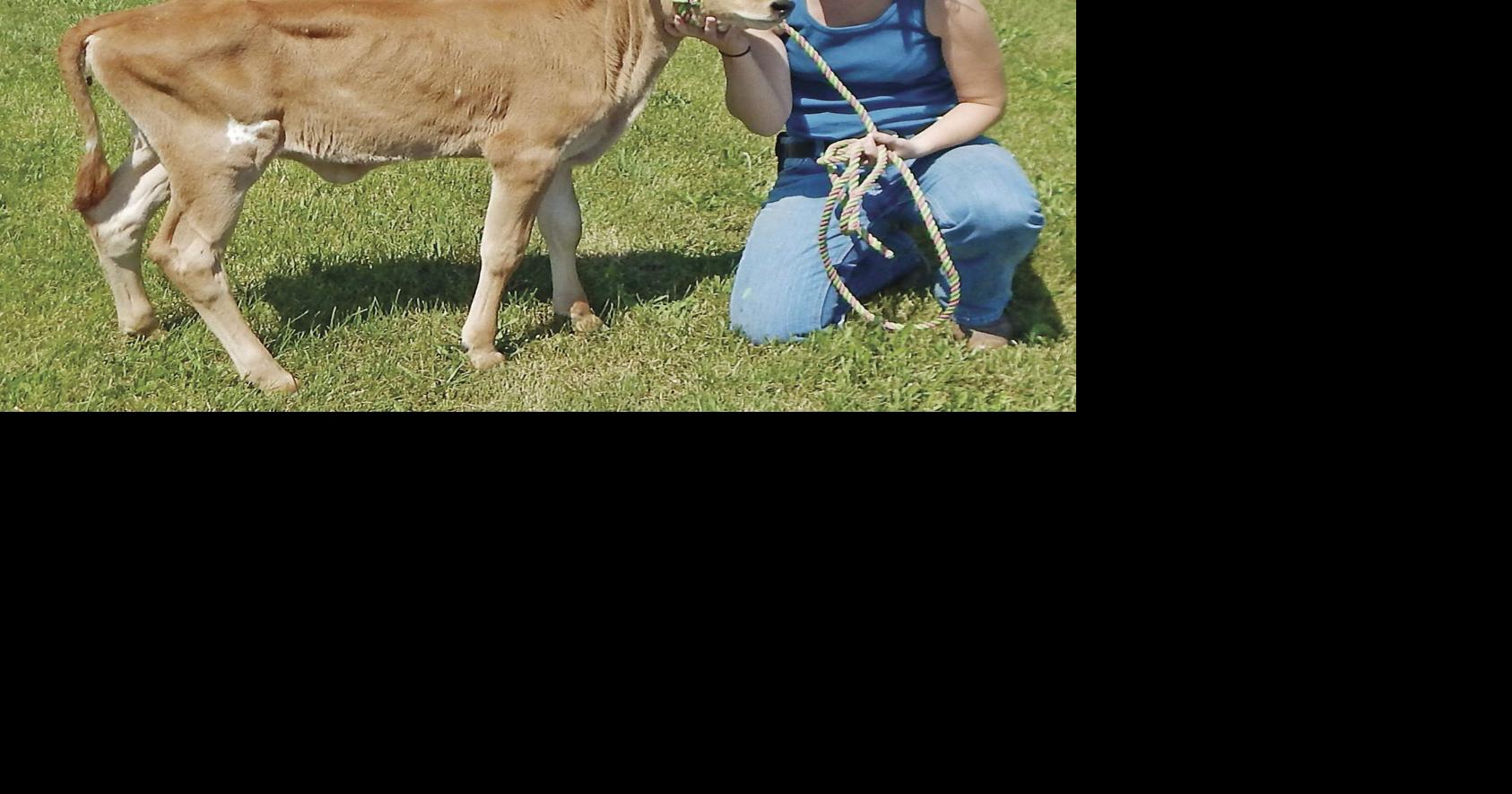 David and Katherine Pyle Focus on Cow Comfort | | lancasterfarming.com