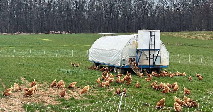 Beware of What's Prowling in the Darkness | Farm and Rural Family Life ...