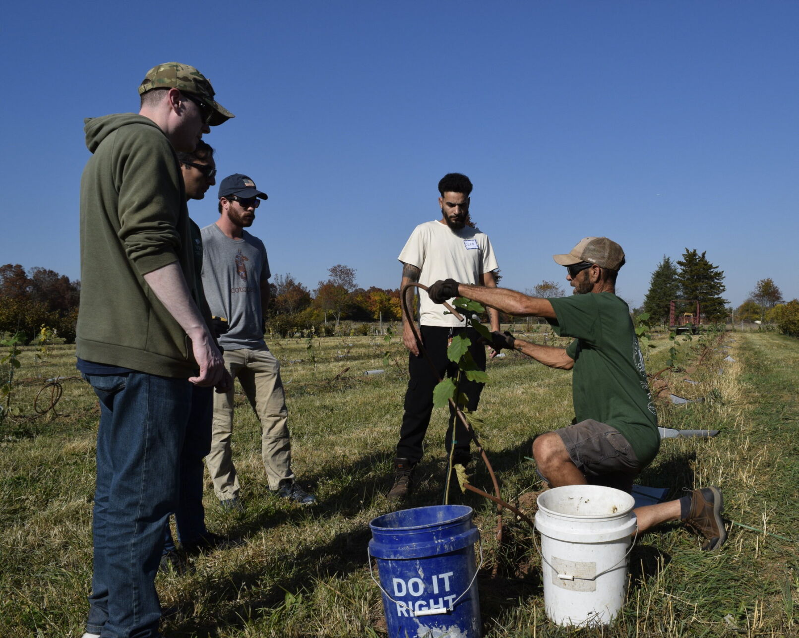 Hazelnut Farming Takes Root in New Jersey with Help from Military ...