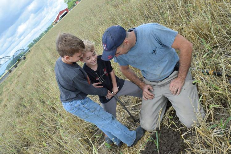 Delaware Farmer Comes Full Circle on Cover Crops | News ...