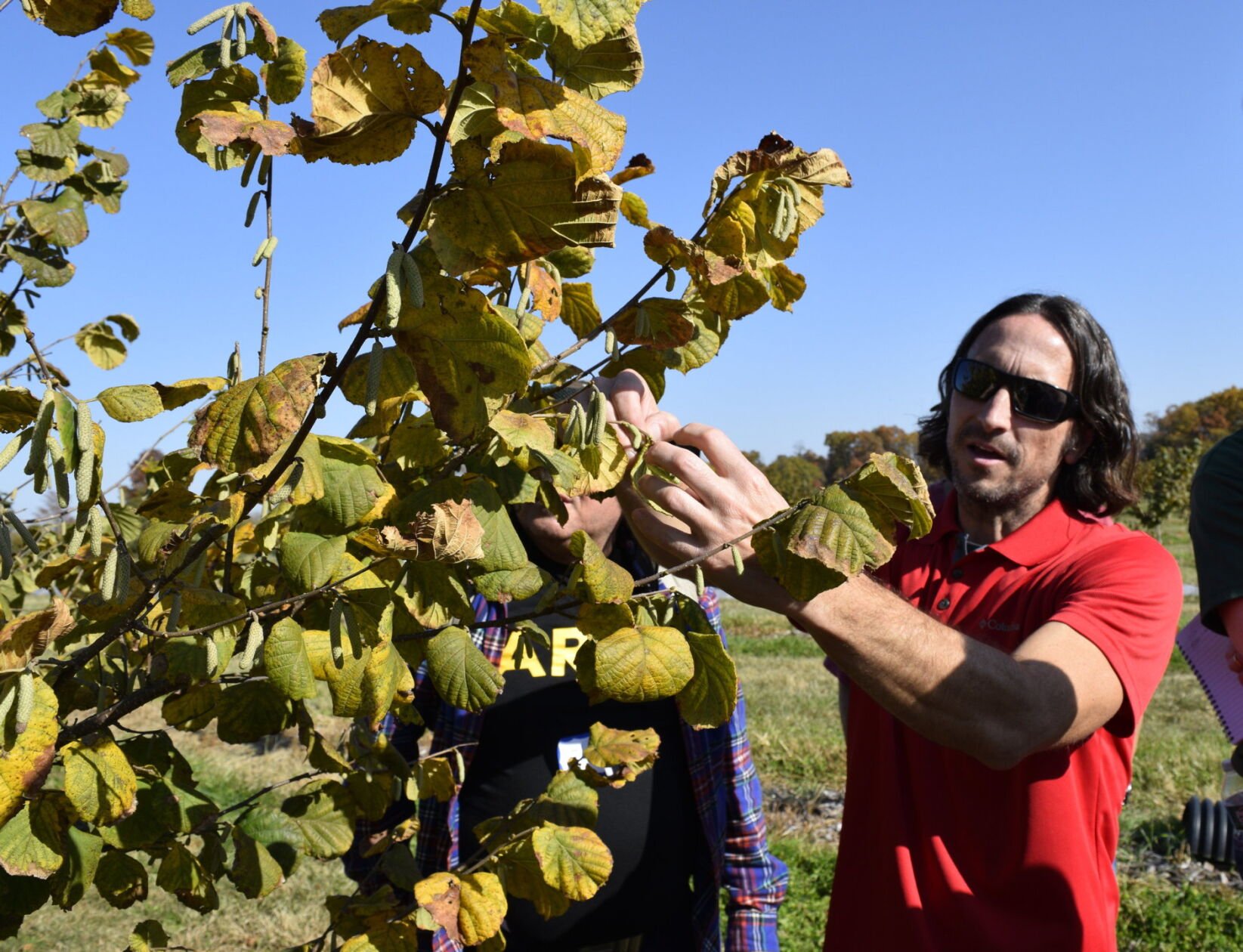 Hazelnut Farming Takes Root in New Jersey with Help from Military ...