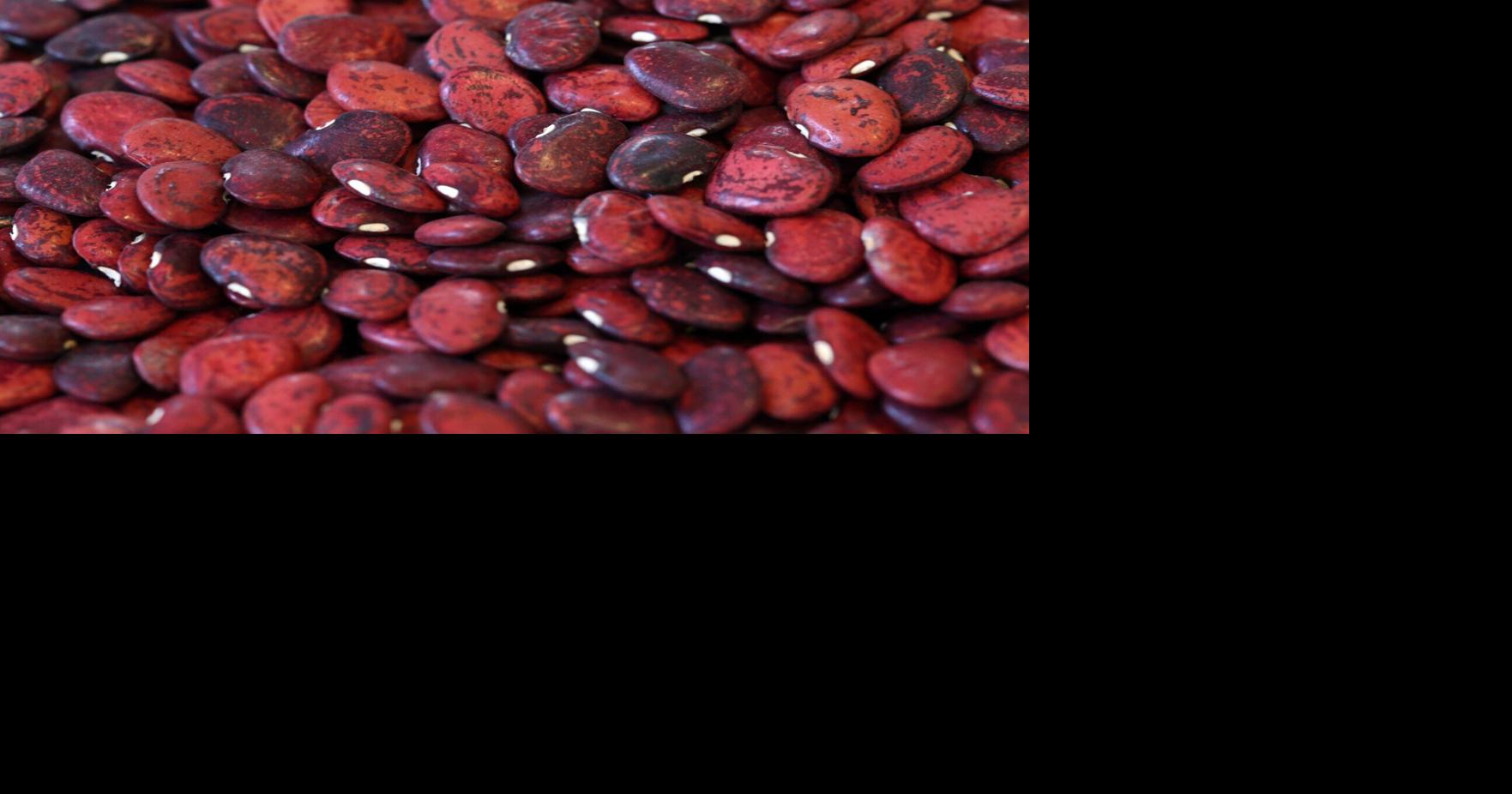 History of Seed Production Shows Shift From Small Farms to Global ...