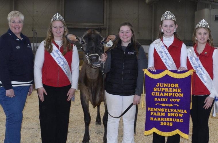 York County 4-H’er Repeats Supreme Feat at PA Farm Show Junior Dairy ...