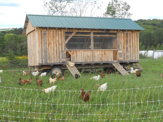 The ABCs of Livestock Production | | lancasterfarming.com