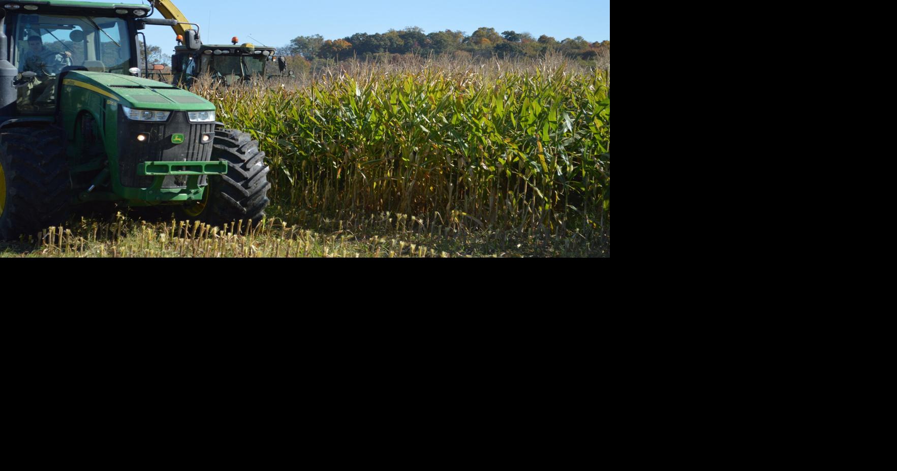 Young Farmer Finds His Groove With Harvest | Country Life ...