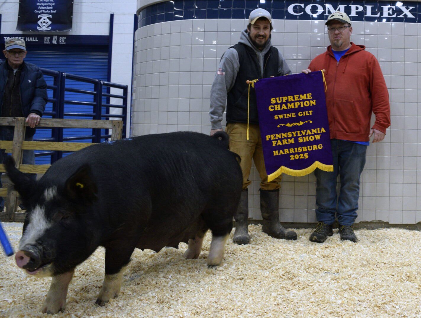 Berkshire Gilt Takes Top Honors for Lazarus Family at PA Farm Show ...